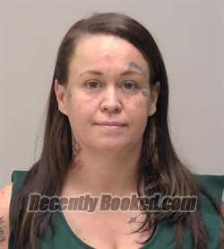 Recent Booking / Mugshot for Brandy Lynn Ortega in Hancock County, Ohio