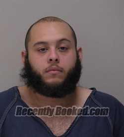 Recent Booking / Mugshot for Ryan Jacob Stapler in Hancock County, Ohio