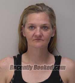 Recent Booking / Mugshot for Erin Nicole Wilcox in Hancock County, Ohio
