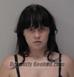 Recent Booking / Mugshot for Megan Ann Cheney in Hancock County, Ohio