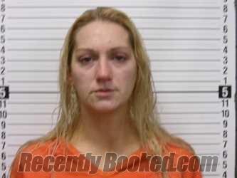 Recent Booking / Mugshot for RAYNA EILEEN BOWDLE in Hardin County, Ohio