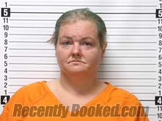 Recent Booking / Mugshot for AUDREY LYNN BAILEY in Hardin County, Ohio