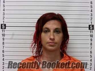 Recent Booking / Mugshot for LINDSAY KAY HARRISON in Hardin County, Ohio