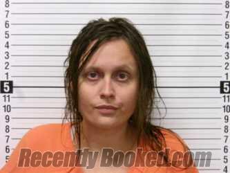 SHYANNE FAYE RISNER Arrest Record & Booking Info – Hardin County, Ohio ...