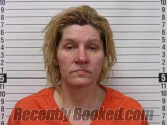 Recent Booking / Mugshot for TINA RENE PRALL in Hardin County, Ohio