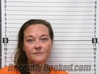Recent Booking / Mugshot for MISTY RENEE HUMPHREYS in Hardin County, Ohio