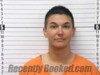 Recent Booking / Mugshot for HARLEY DENEA LUTE in Hardin County, Ohio