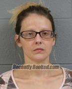Recent Booking / Mugshot for COURTNEY MICHELLE LOUK in Highland County ...
