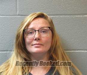 Recent Booking / Mugshot for Natalie Alexandria Berendt in Huron County ...