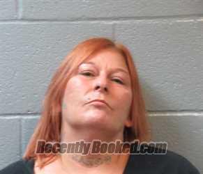 Recent Booking / Mugshot for TIFFANY RENEE SWAFFORD in Huron County, Ohio