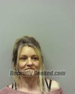Recent Booking / Mugshot for AMY RENEE READY in Lake County, Ohio