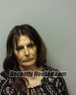 Recent Booking / Mugshot for CAROL ANN HOGUE in Lake County, Ohio