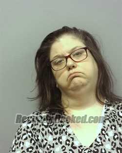 Recent Booking / Mugshot for SHANNON LISA MOOK in Lake County, Ohio