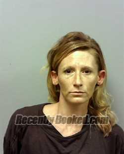 ROBIN LYNN SCHNEIDER Arrest Record & Booking Info – Lake County, Ohio ...