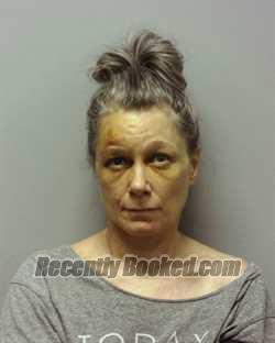 Recent Booking / Mugshot for DANIELLE MARIE TARBOX in Lake County, Ohio