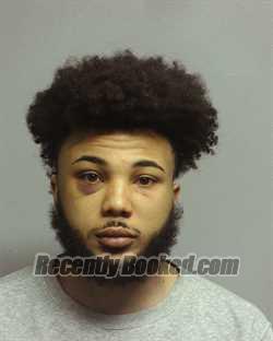 Recent Booking / Mugshot for ELIJAH ABRAHAM SCHULTZ in Lake County, Ohio