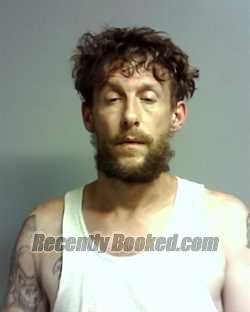 Recent Booking / Mugshot for ROBERT MICHAEL NELSON in Lake County, Ohio