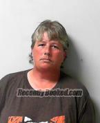 Recent Booking / Mugshot for JAIME LYN HARVEY in Logan County, Ohio