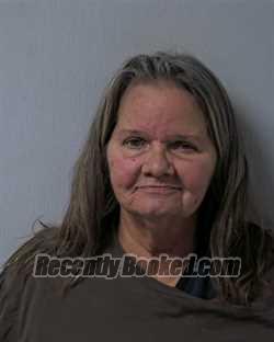 Recent Booking / Mugshot for DEBRA JEAN AMBOS-HENSLEY in Logan County, Ohio