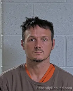 Sean Christopher Brisson Mugshot & Arrest Info | Logan County, OH