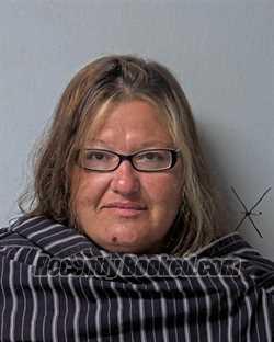 Recent Booking / Mugshot for SUSAN PATRICIA FRAZIER in Logan County, Ohio