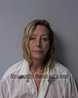 Recent Booking / Mugshot for MICHELE LEE LUNDY in Logan County, Ohio
