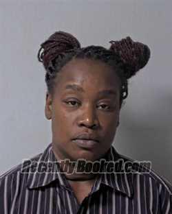 Recent Booking / Mugshot for FATINA RENEE MARTIN in Logan County, Ohio