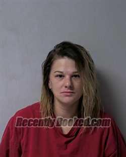 Recent Booking / Mugshot for LINDSAY ANN NICKLES in Logan County, Ohio