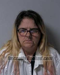 Recent Booking / Mugshot for ALICE MARIE PREDMORE in Logan County, Ohio