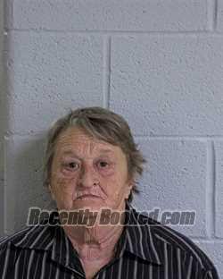 Recent Booking / Mugshot for TAMRA SUE POTTS in Logan County, Ohio