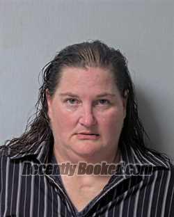 Recent Booking / Mugshot for ASHLEY LYNN REED in Logan County, Ohio