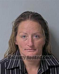Recent Booking / Mugshot for SARA JEAN RHOADES in Logan County, Ohio