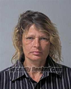 Recent Booking / Mugshot for BRENDA KAY SHIELDS in Logan County, Ohio