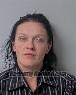 Recent Booking / Mugshot for SKYBREE S SCHINDLER in Logan County, Ohio