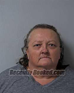 Recent Booking / Mugshot for VICKI LYN YURETICH in Logan County, Ohio
