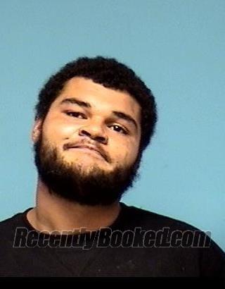 Recent Booking / Mugshot for SKYLER S HOWELL in Lorain County, Ohio