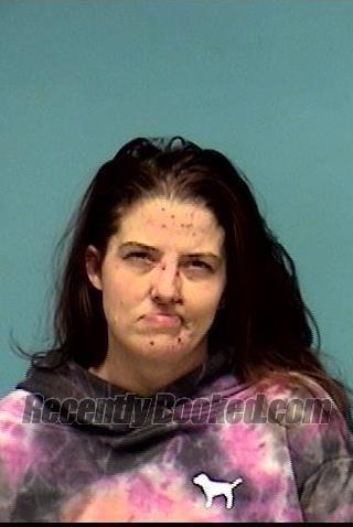 Recent Booking / Mugshot for CASSANDRA RENEE WILSON in Lorain County, Ohio