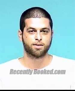 Recent Booking / Mugshot for ALEX W ZOCCHI in Lorain County, Ohio