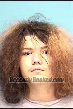 SKYLER JACOB JAMES Arrest Record & Booking Info – Lorain County, Ohio ...