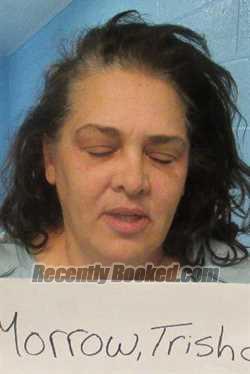 Recent Booking / Mugshot for TRISHA LYNN MORROW in Lorain County, Ohio