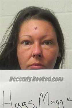 Recent Booking / Mugshot for MAGGIE LYNN HAAS in Lorain County, Ohio