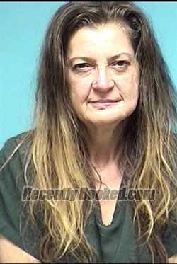 Recent Booking / Mugshot for BONNIE S LOSH in Lorain County, Ohio