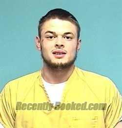 Recent Booking / Mugshot for LOGAN RAY FIELDS in Lorain County, Ohio