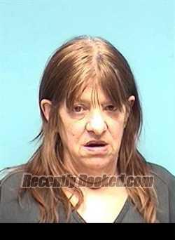 Recent Booking / Mugshot for NANCY M LOTKO in Lorain County, Ohio