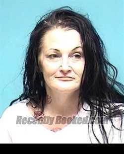 Recent Booking / Mugshot for RONI JEAN HARRIS in Lorain County, Ohio