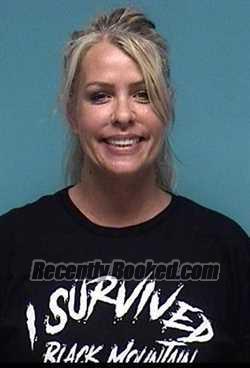 Recent Booking / Mugshot for ELLEN DENISE STUTZ in Lorain County, Ohio