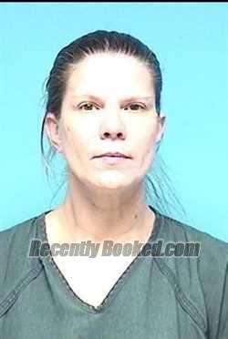 Recent Booking / Mugshot for TINA M BRUNECZ in Lorain County, Ohio