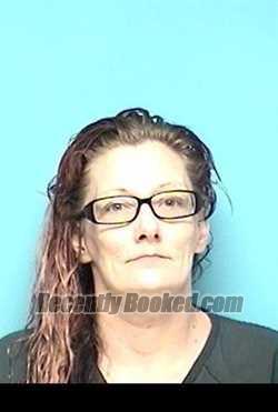 Recent Booking / Mugshot for JANIE R AYERS in Lorain County, Ohio