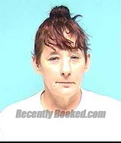 Recent Booking / Mugshot for LISA M MCMICHAEL in Lorain County, Ohio