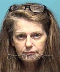Recent Booking / Mugshot for VICTORIA LYNN PERCHINSKY in Lorain County ...